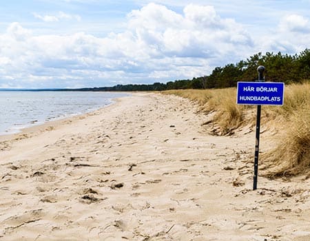 Reiseführer Schweden mit Hund